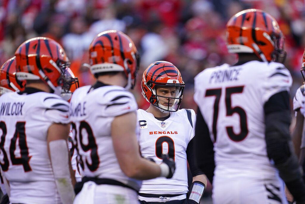 Cincinnati Bengals Picks and Analysis | The Poolside Post